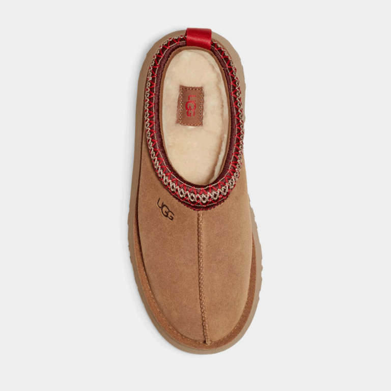 UGG Femme UGG Tazz Chestnut 2398DPP1122553VCO, sabots apprivoisés pour ...